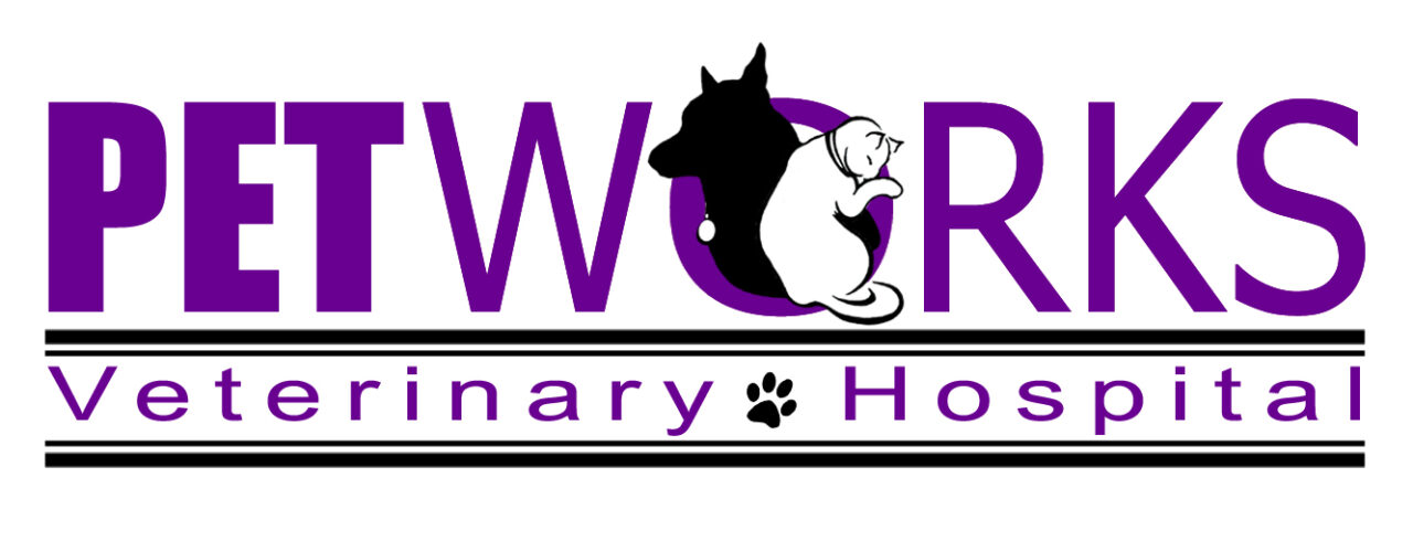Petworks Veterinary Hospital Pilot Study Customer Questionnaire - Synexis